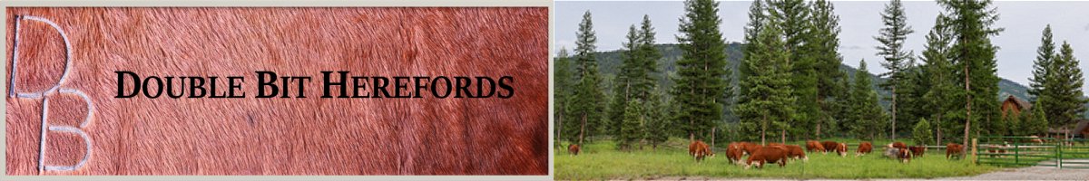 DoubleBit Herefords – Double Bit Herefords